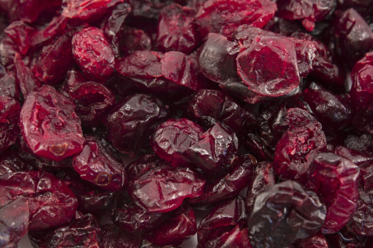 Cranberries: Organic & Conventional - Newport Ingredients