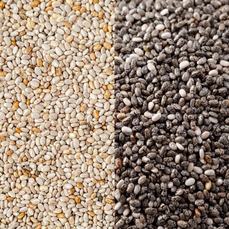 Black vs. White Chia Seeds: A Guide for Restaurants, Supermarkets, and ...